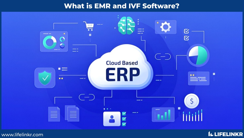 The Importance of Integrating EMR with IVF Software for Seamless ...